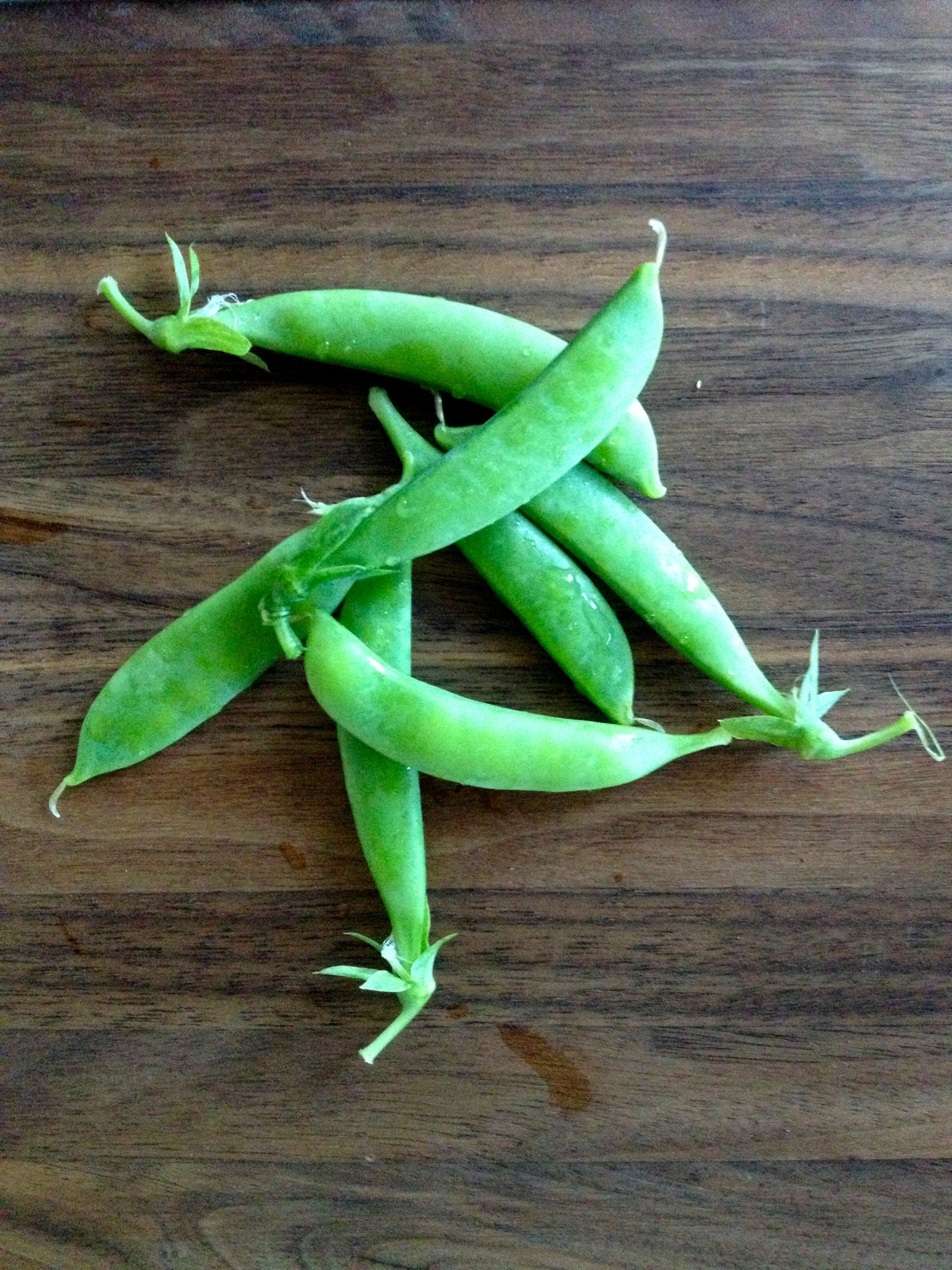 First Boneyard sugar snaps this year – Micro Showcase